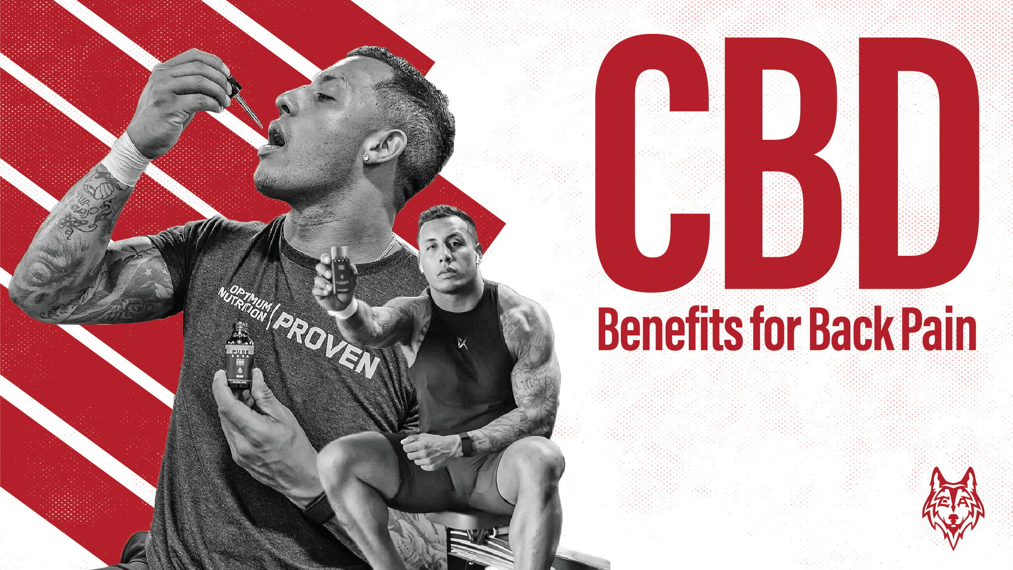 Benefits of CBD for Back Pain - The Cody Allen